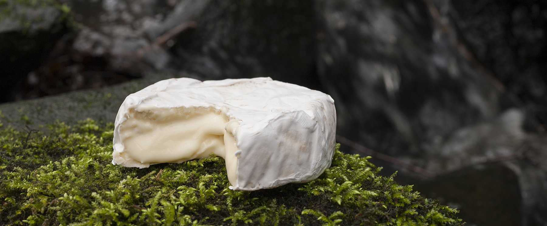 Creamy & Exquisite Cheeses | Mild Cheeses | Butlers Cheeses – Butlers ...