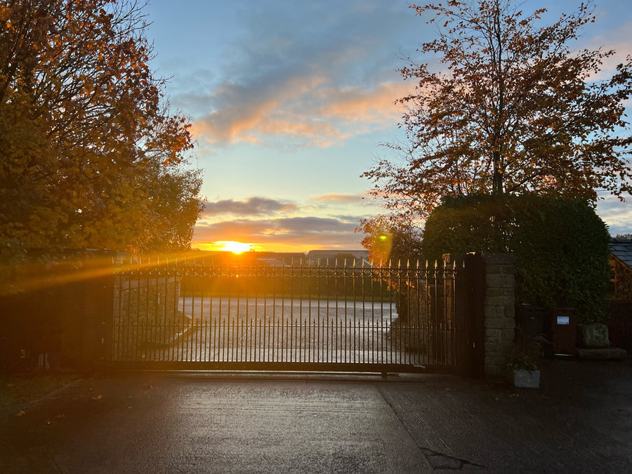 Fire: The Next Chapter – Butlers Farmhouse Cheeses