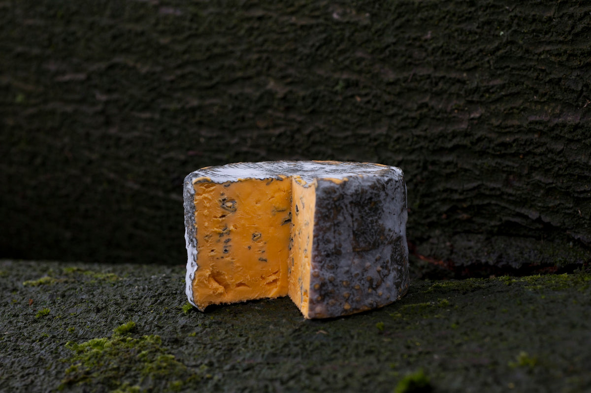 Mature Your Own Blacksticks Blue | Cheese Gifts | Butlers Cheese Store
